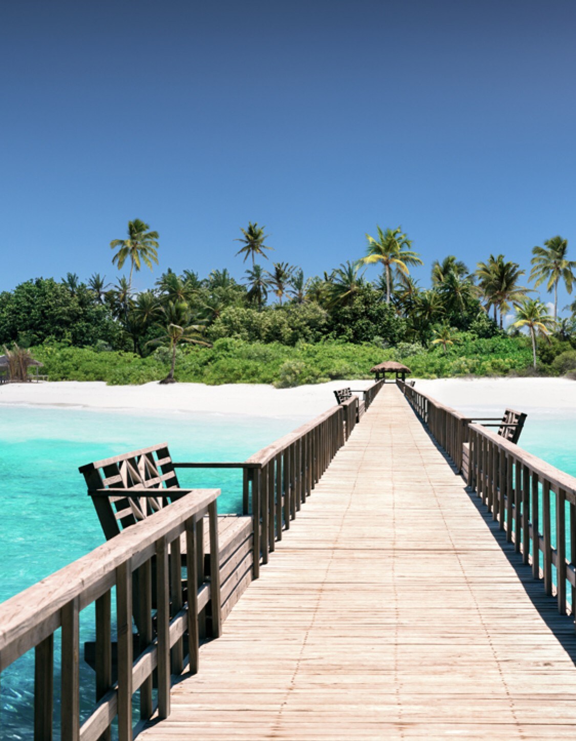 December cruises: Christmas & New Year | Costa Cruises