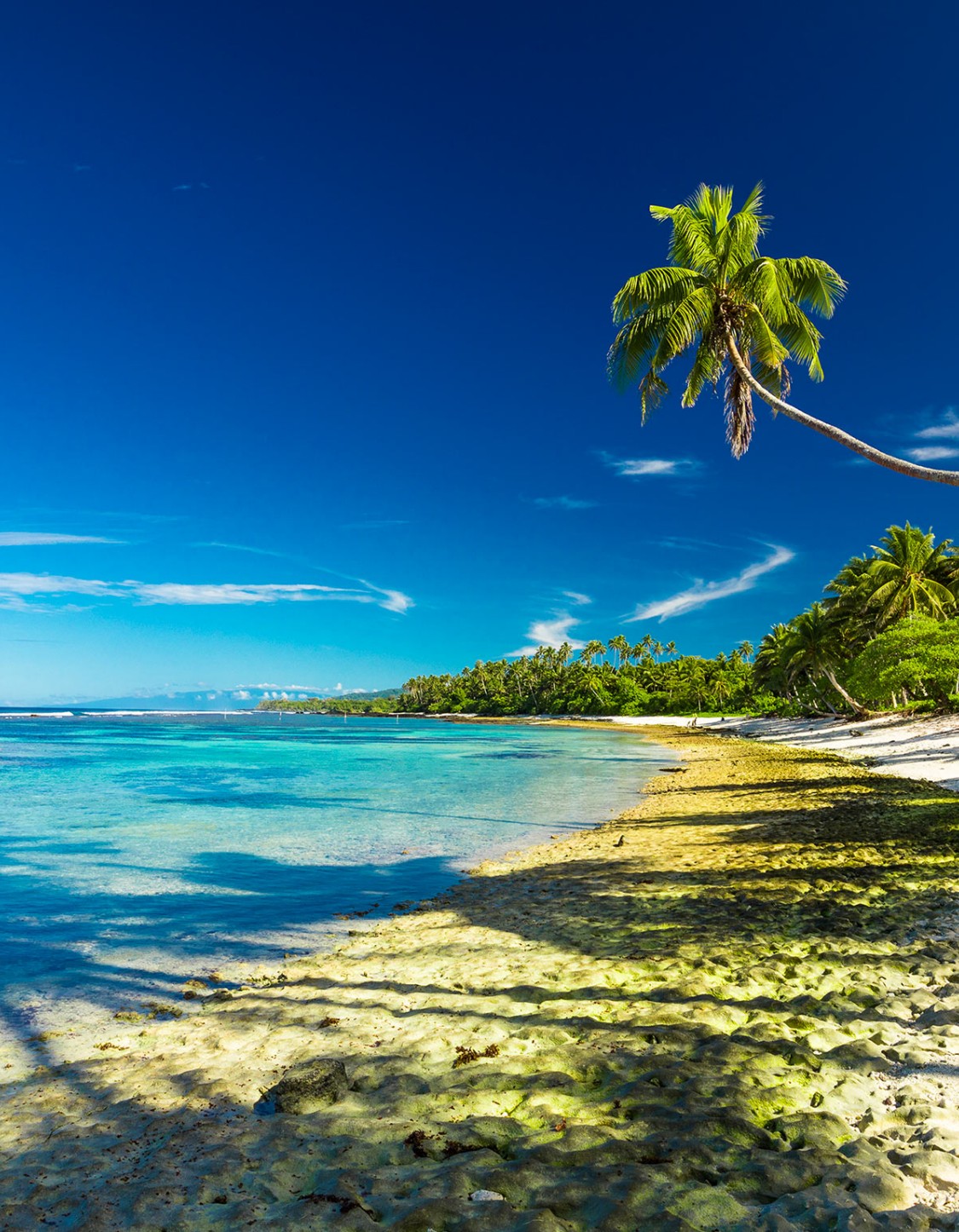 Cruises to Apia: Deals & Bookings | Costa Cruises